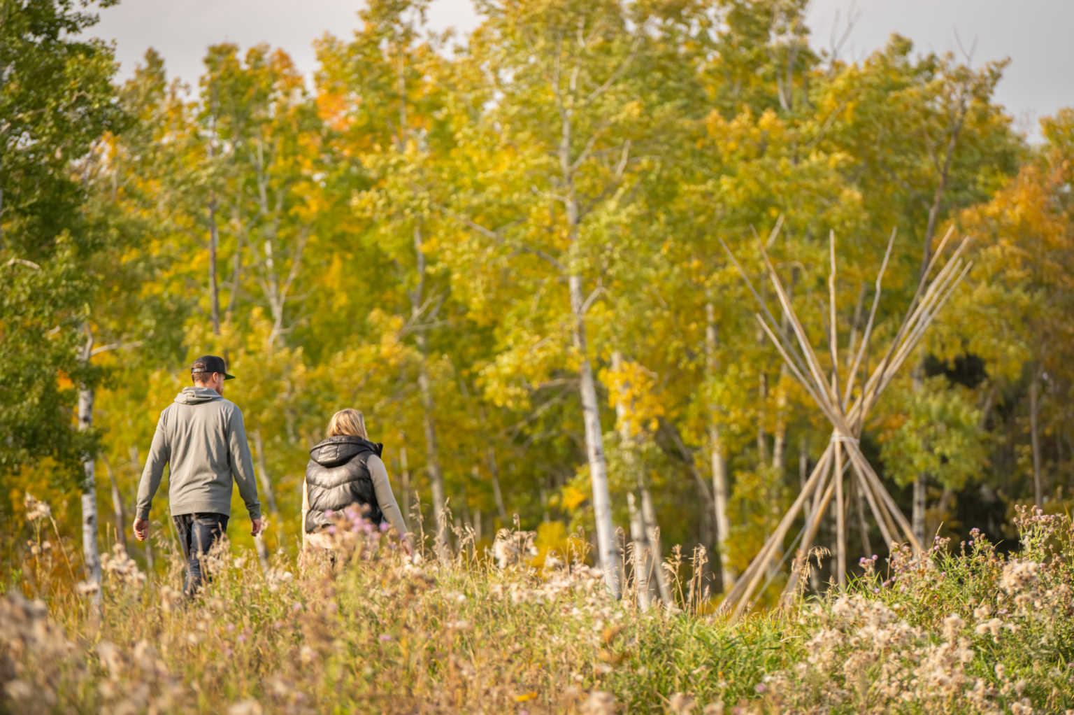 Indigenous Plants of Saskatchewan - Miýwâsin Ôta Resort